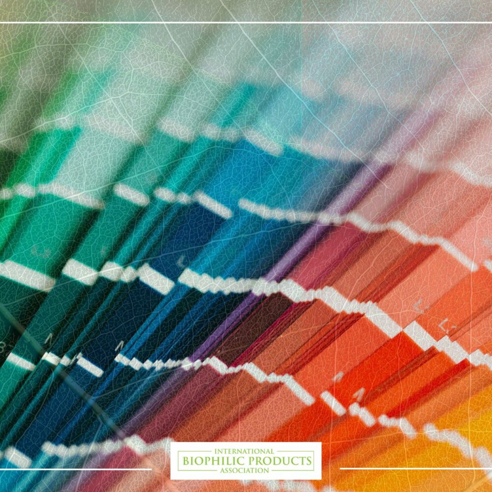 14 Biophilic Design Patterns That Transform Architecture