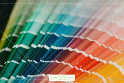 14 Biophilic Design Patterns That Transform Architecture