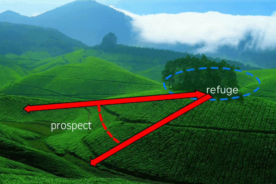 Biophilic design and the prospect & refuge theory: how openness ...