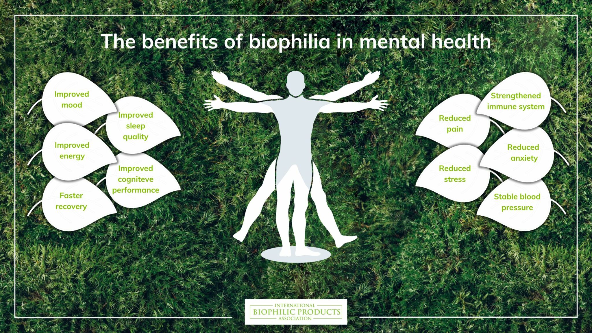 Biophilic Design Blog: nature-Inspired Interiors