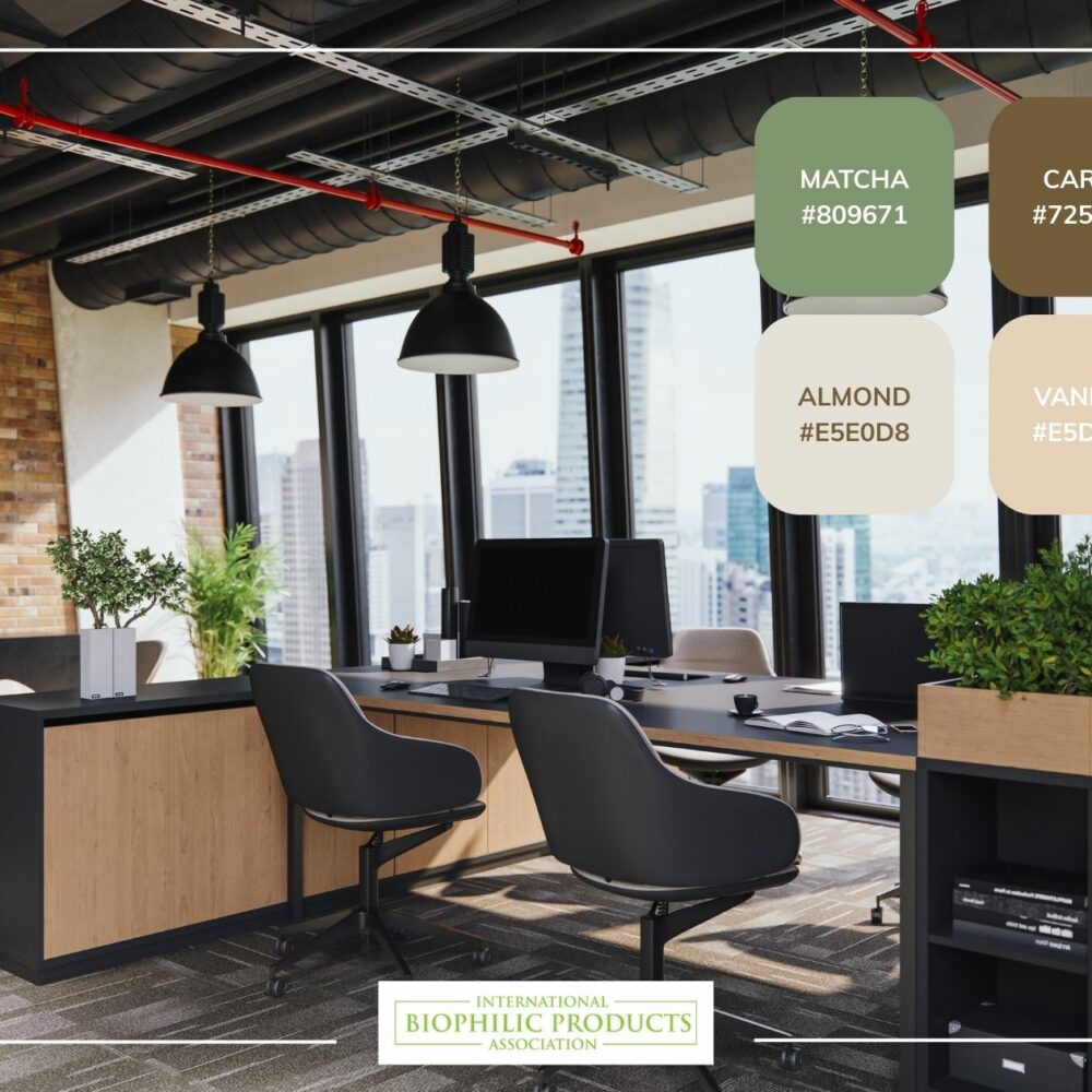 14 Biophilic Design Patterns That Transform Architecture