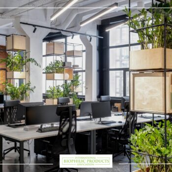 14 Biophilic Design Patterns That Transform Architecture