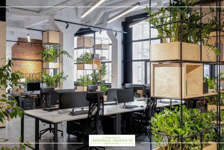 What Biophilic Design is: concept, examples, materials, and ...