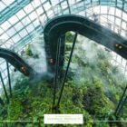 14 Biophilic Design Patterns That Transform Architecture
